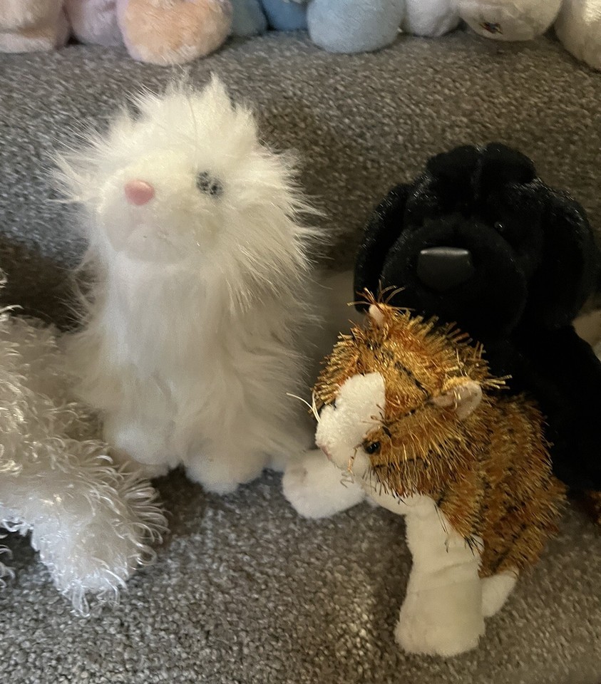 Webkinz Plush Lot Cheeky Dog Hippo Pig Chihuahua Black Lab Black Horse ...