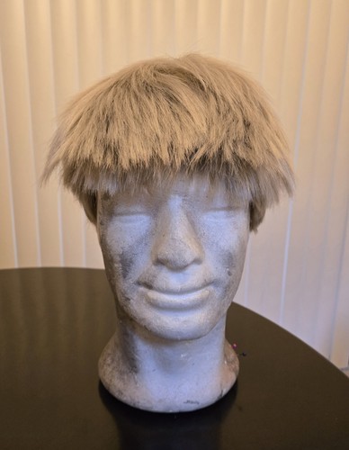 Laios wig delicious in dungeon manga frieren jujutsu kaisen berserk ...