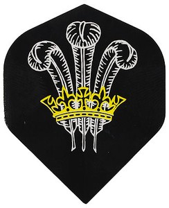 Welsh Crown Standard Shaped Poly Darts Flights | eBay
