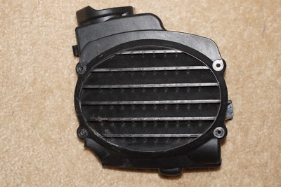 Honda Metropolitan And Ruckus Radiator Cover | eBay