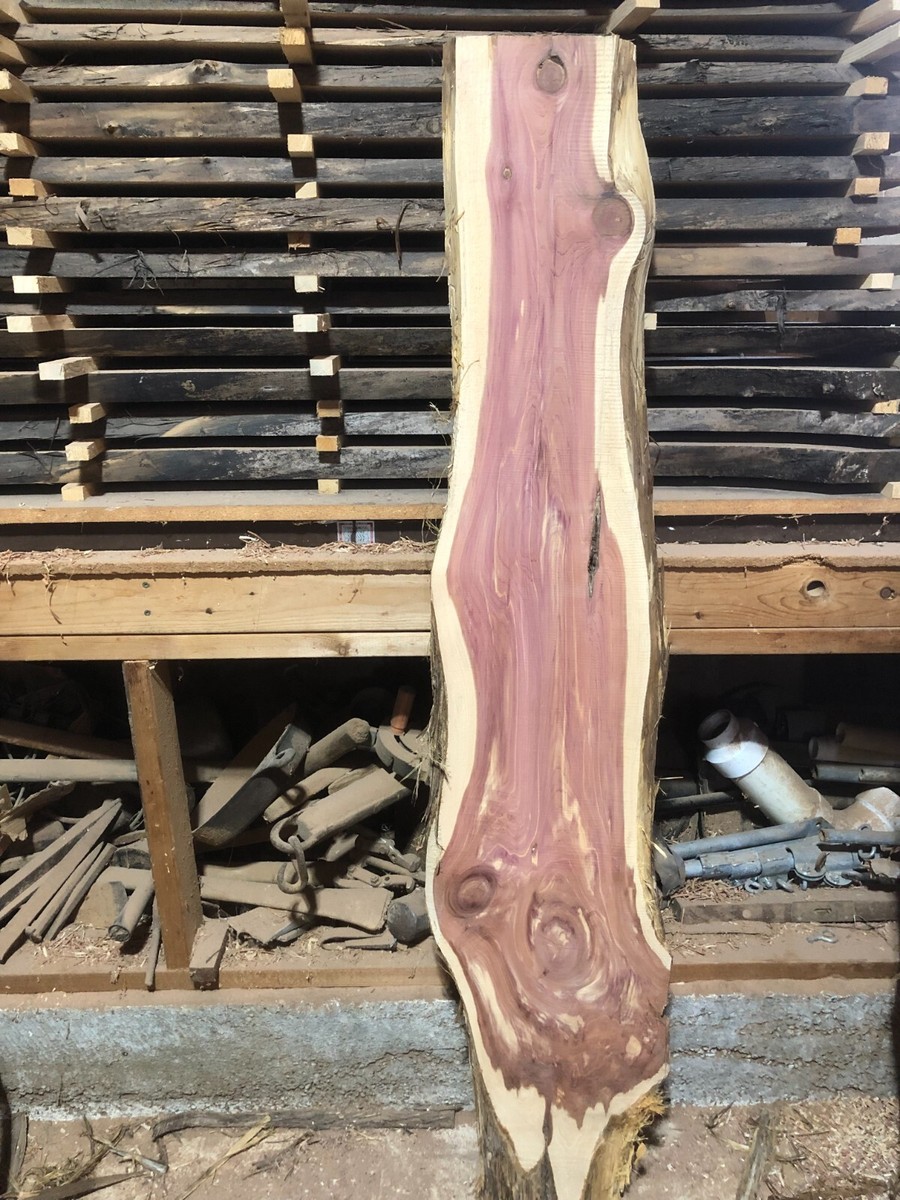 Live Edge Slab Wood Craft Elm Live Edge Timber 990mm X 400mm X 27mm
