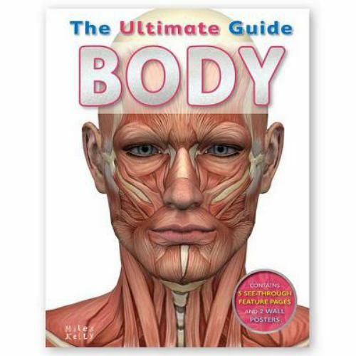 The Ultimate Guide - Body: Contains 5 See-Through Fearures & 2 Wall ...