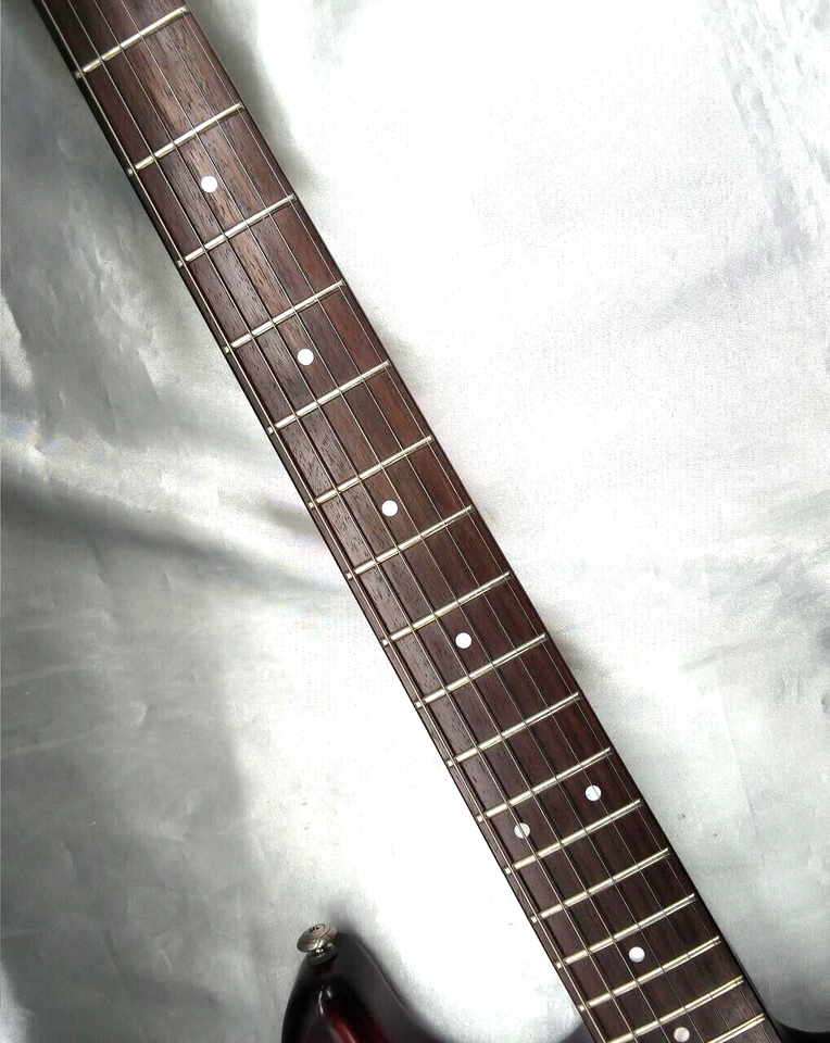 FERNANDES The Function FST-95S Active Stratocaster Guitar Sustainer ...