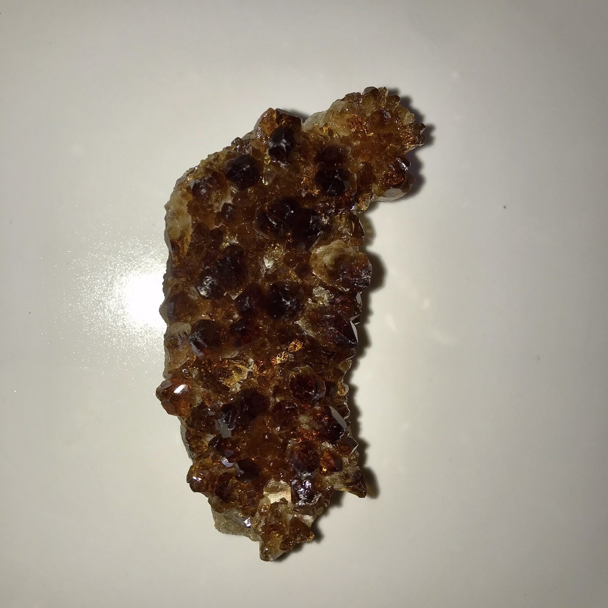 Amber Geode Zebra Blue Amber Rough Fossil | Crystal Gemstone Shop