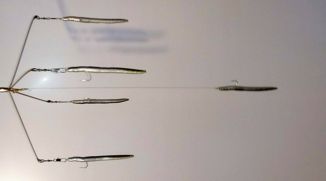 Striper Umbrella Rigs.Trolling.Baby eels. Ocean and Inlet. | eBay