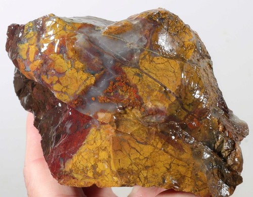 California Brecciated Jasper Lapidary 1 lb 15 oz rough lot #1 | eBay