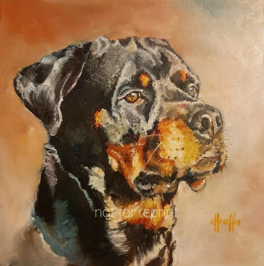 Rottweiler Paintings