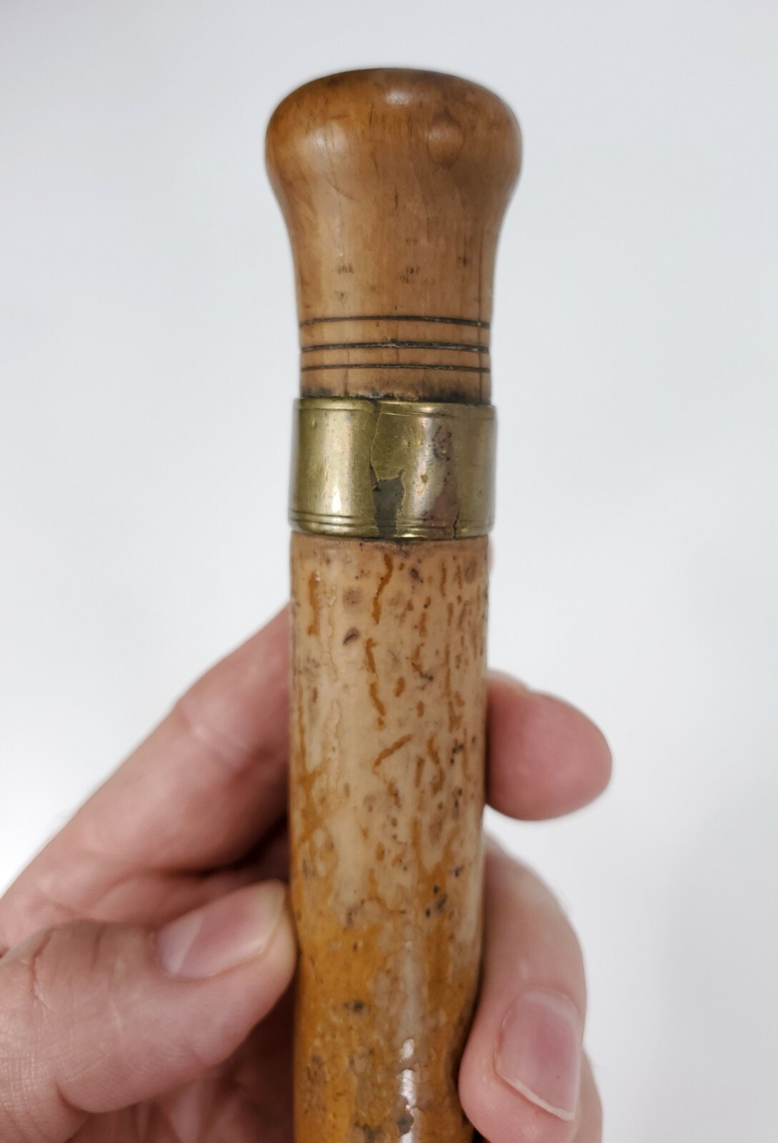 Antique Malacca Shaft Walking Stick Cane with Brass F… - Gem