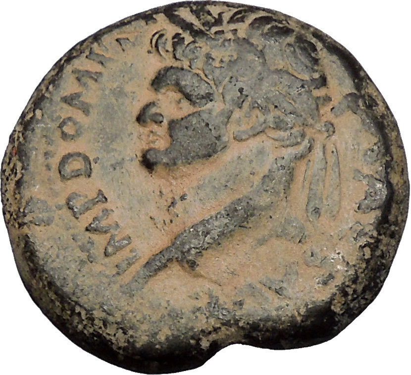 DOMITIAN 81AD Original Authentic Ancient Roman Coin Large SC of Antioch ...