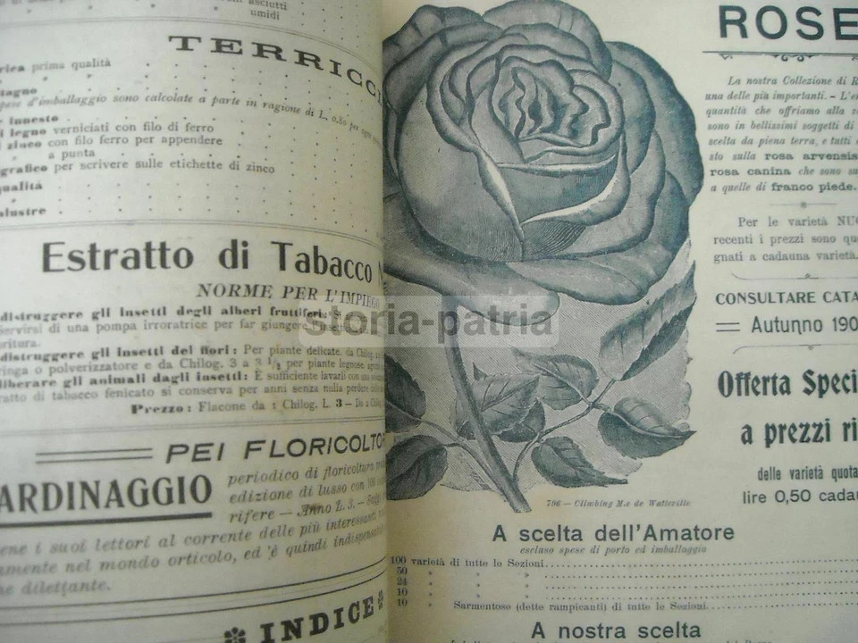 AGRARIA_BOTANICA_PIANTE_FIORI_ORTAGGI_CATALOGO PUBBLICITARIO ILLUSTRATO ...