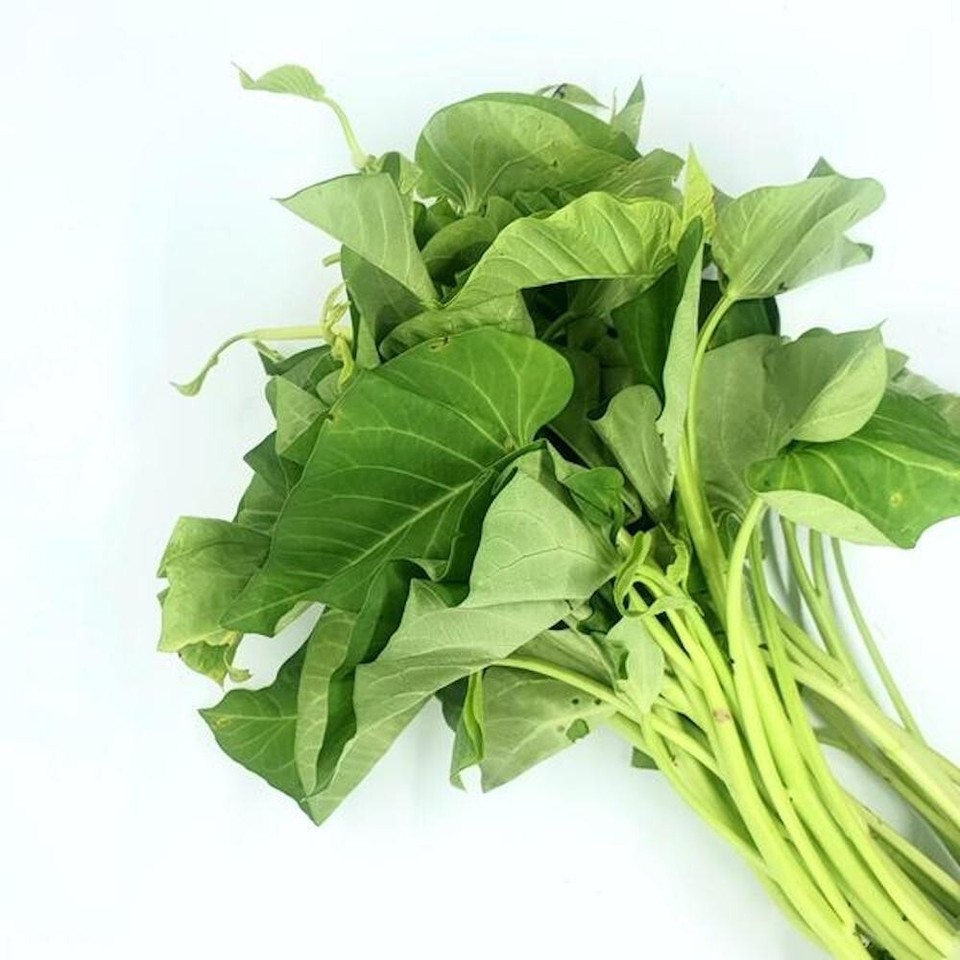 150 Seeds - Large Leaf Water Spinach, Ong Choy, Rau Muống Lá Lớn | eBay