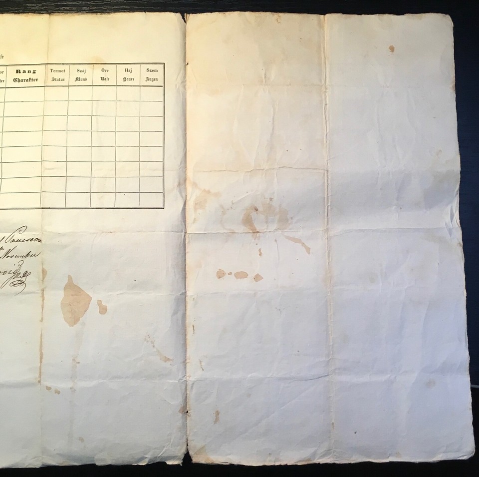 passport vintage Austro-Hungary 1850. year (10.) | eBay