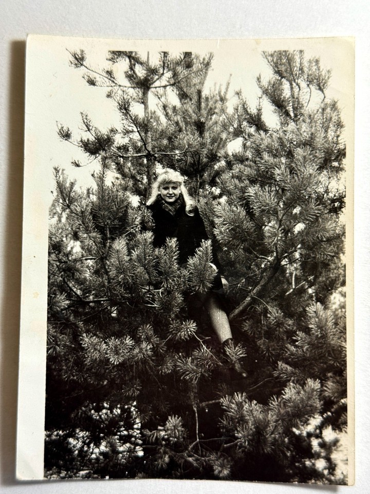 Blonde Girl Climbing Pine Tree B&W Photo Retro 1983 | eBay