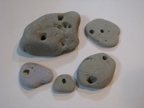 Natural Beach Hag Stones Rocks With Holes - Lot of (5) | eBay