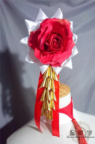 Final Fantasy XIV FF14 Shisui Set of Healing Cosplay Costume Women ...