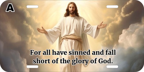 JESUS CHRISTIAN FOR ALL HAVE SINNED GOD PERSONALIZATION METAL LICENSE ...