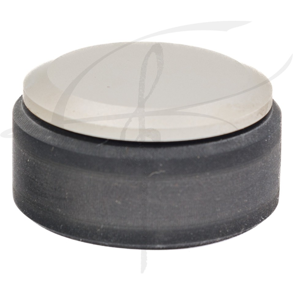 TEAC X1000R X1000 SILVER LN Pinch Roller w/Cover&Washers MINT Reel ...