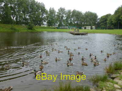 Photo 6x4 Ducks at the boating pond, Omagh An Oghmagh Today I counted ...
