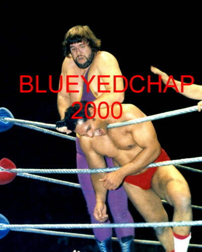 THE SPOILER / DON JARDINE VS VICTOR RIVERA WRESTLER 8 X 10 WRESTLING ...
