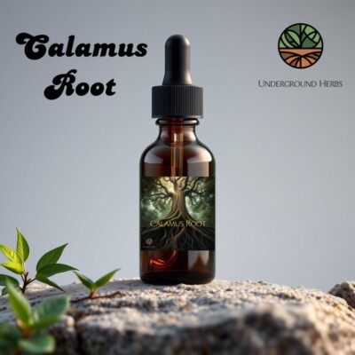 Calamus Root Tincture | eBay