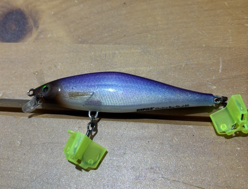 Rapala Shadow Rap Shad 09 Slow Rising -Custom Painted | eBay