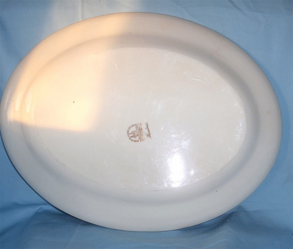 PLATTER SERVING 15" Pattern Hostess Vtg Meat/Serving Platter Edwin ...