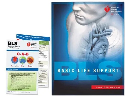 Basic Life Support Provider Manual by American Heart Association Staff ...