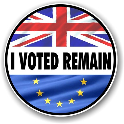 2pcs Brexit I VOTED REMAIN Slogan Referendum Union Jack & EU Flag car ...