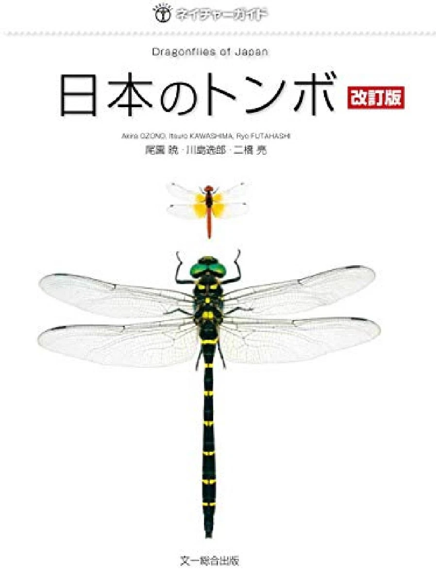 Dragonfly Japan
