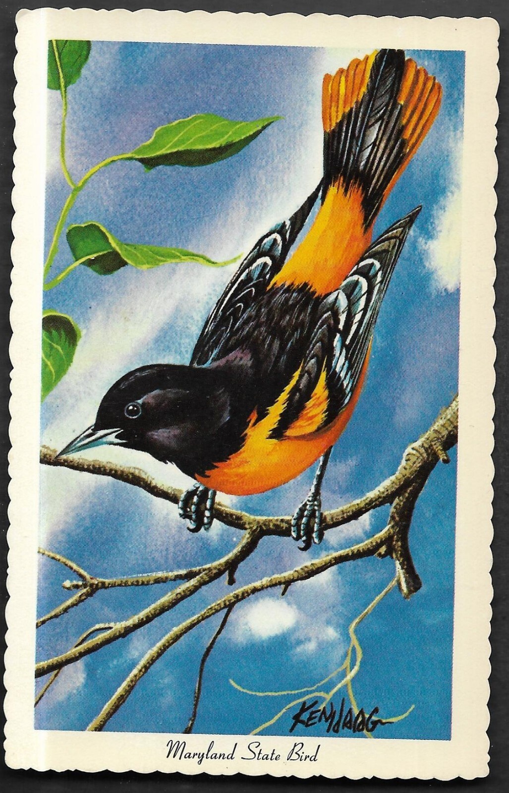 pk93184:Postcard-Artist Signed Ken Haag,Baltimore Oriole,Maryland State ...