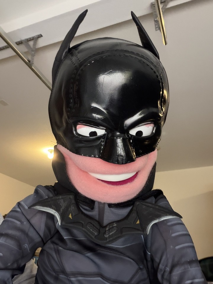 Mr. Bat Hero Puppet Professional Muppet-Style Puppet | eBay