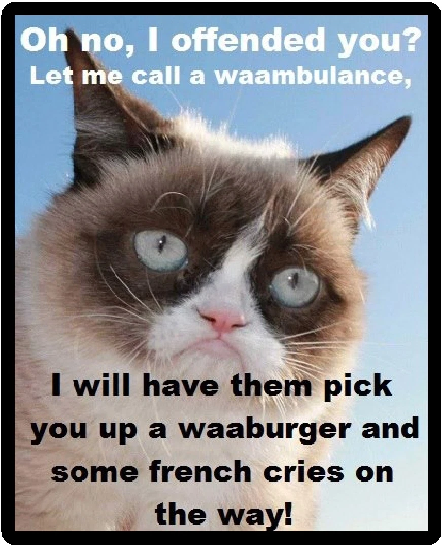 Grumpy Cat Office Meme