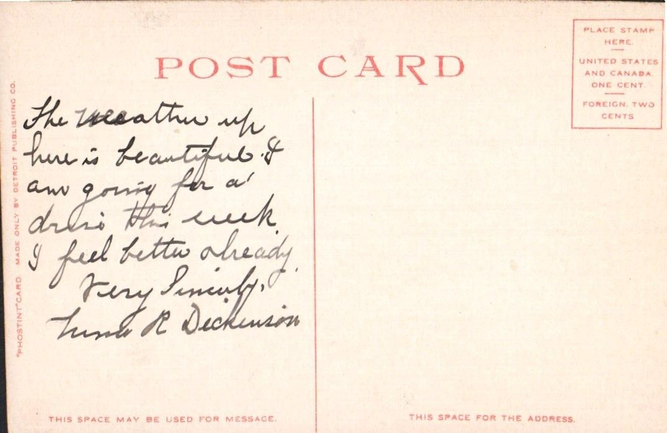 Postcard A Mountain Toll Gate Photostint Detroit Publishing White ...