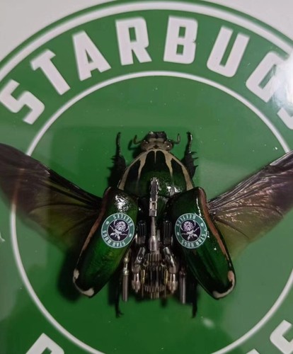 28) & 42) Starbucks SteamPunk Bugs Bio mechanical Frame art Sculpture ...