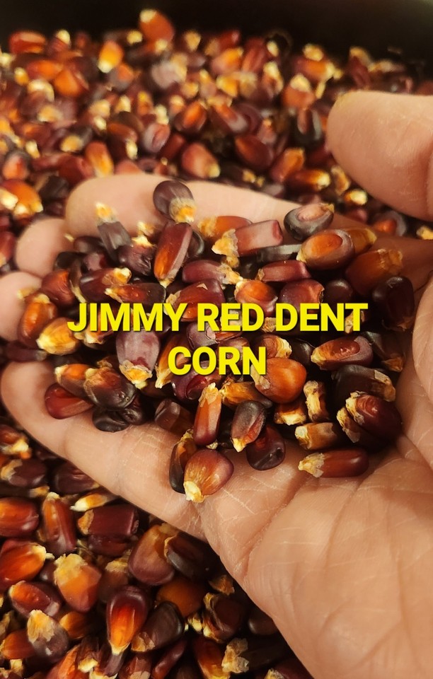 Jimmy Red Corn - Heirloom Dent Corn For Seed or Milling - 1 Pound | eBay