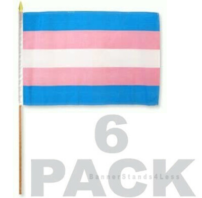 12x18 TRANSGENDER Stick Flag Gay Pride Rainbow Hand Held Flag - 6 PACK ...