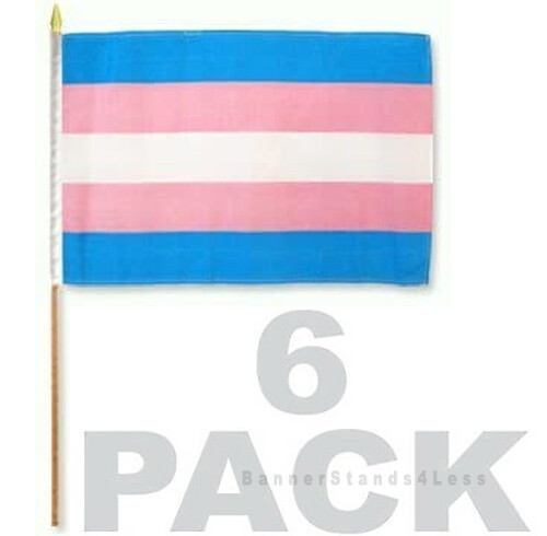 12x18 TRANSGENDER Stick Flag Gay Pride Rainbow Hand Held Flag - 6 PACK ...