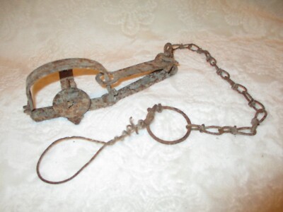 Primitives - Animals Trap