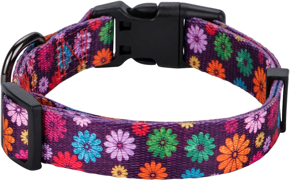 Girl Dog Collars Fall Daisy Pattern, Colorful Flowers Print, Female ...