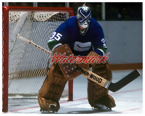 NHL Curt Ridley Goalie Vancouver Canucks Game Action Color 8 X 10 Photo ...