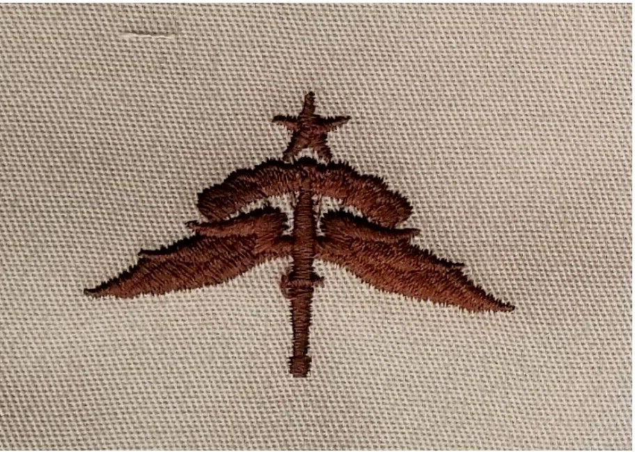 US Army Air Force Freefall HALO Jump Wings Award Desert Tan Sew-On ...