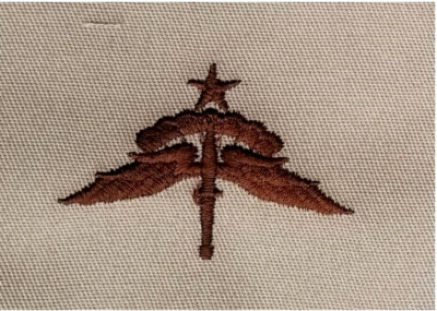 US Army Air Force Freefall HALO Jump Wings Award Desert Tan Sew-On ...