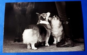 Chars Cards and Such | eBay Stores