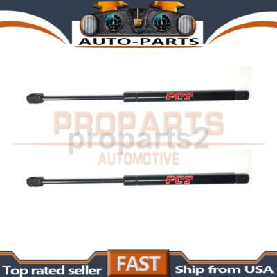 For Pontiac Aztek 3.4L 2001-2005 Hood Lift Support 2x | eBay