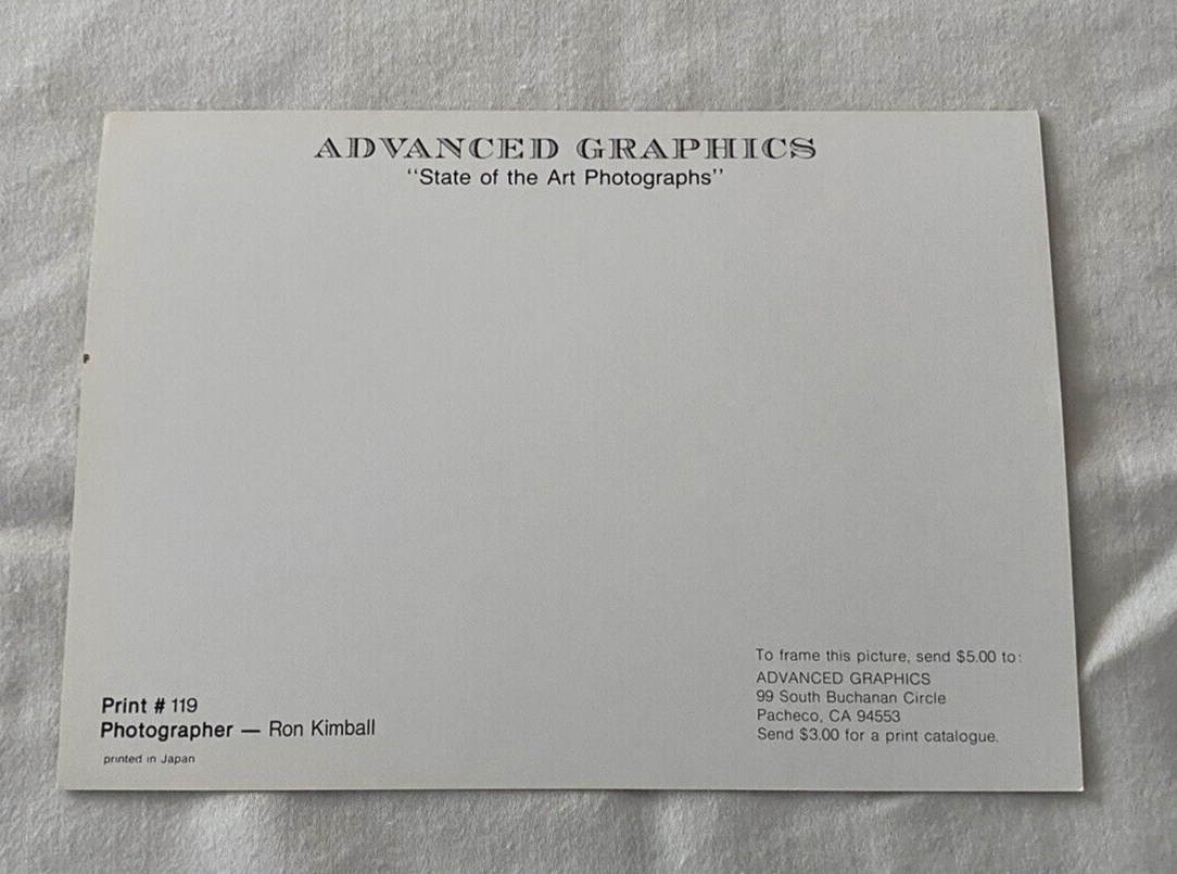 Rare 1980's Advanced Graphics Toucan Postcard Ron Kimball Print #119 5 ...