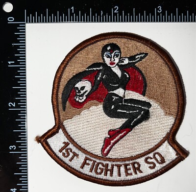 OIF OEF USAF 1st Fighter Squadron Fighting Furies Desert Patch | eBay