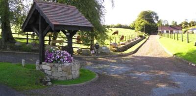 Photo 6x4 Beech Lodge The Bawn This pretty feature was at the main road ...