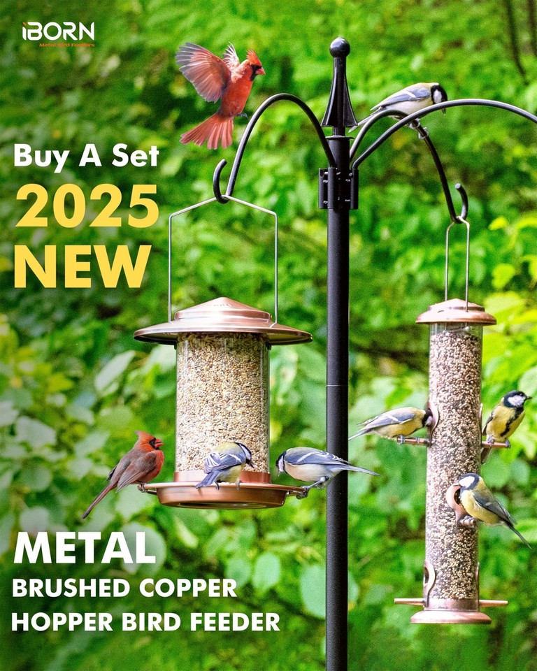 iBorn Bird Feeders for Outdoors Hanging,Metal Bird Feeders for Cardinal ...
