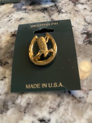 Cowboy Boot Inside Horse Shoe hat/lapel pin | eBay
