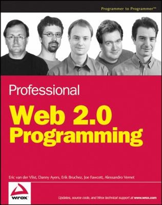 Programmation Web 2.0 Professionnelle Parfaite | eBay
